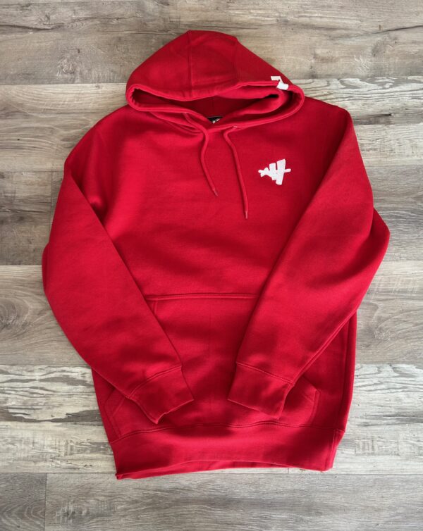 Star H Embroidered Hoodie (Red) | Art History 101 Clothing